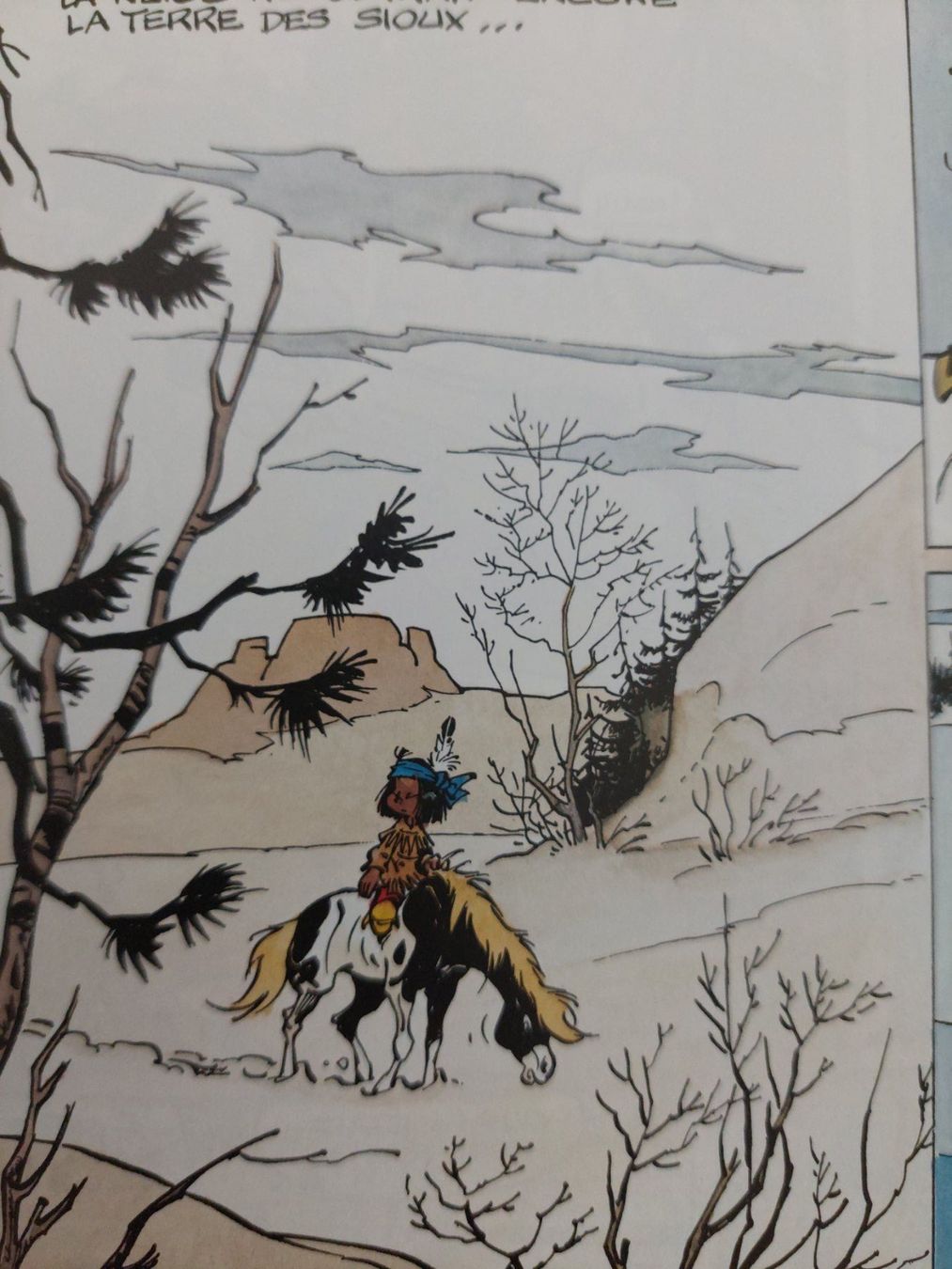 Yakari T.2 Et le Bison Blanc Ed. 2016 Comme Neuf (D'occasion) à Genève ...