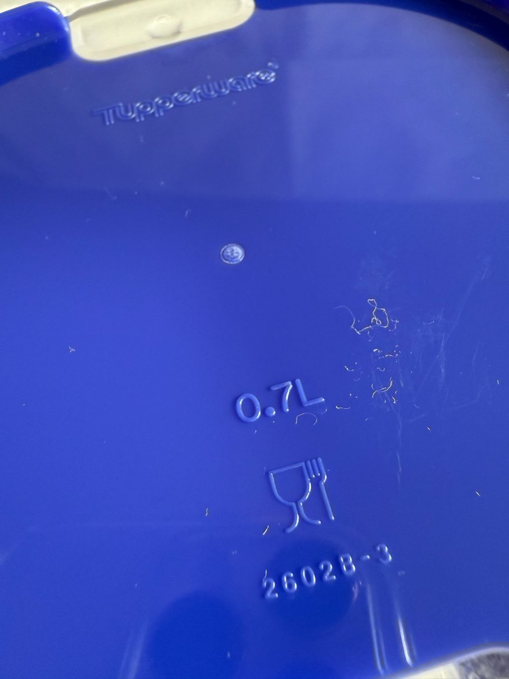 Tupperware - boîte - 0,7L - bleu (D'occasion) à Sion pour CHF 10 – avec ...