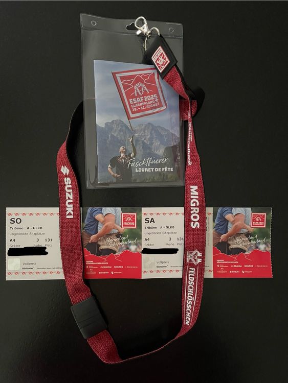 ESAF 2025 - 2-Tagespass (Sa/So) Sitzplatz ungedeckt (Neu und ...