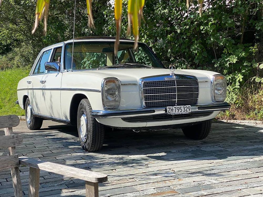 Mercedes Benz 250 Veteranenfahrzeug (Gebraucht) in Hinwil für CHF 19000 ...