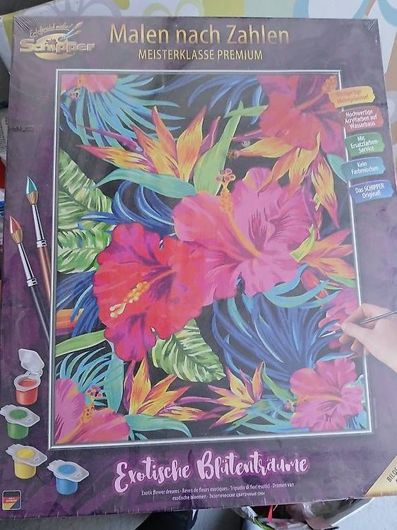 Malen nach Zahlen (Gebraucht) in Uesslingen für CHF 20 – nur Abholung auf Ricardo kaufen