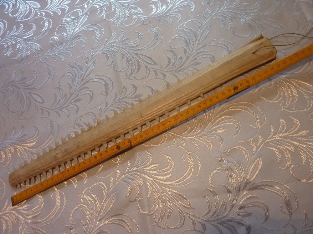 Skulptur Naturkunde Zähne Sägefisch (Gebraucht) in Dietikon für CHF 60 ...