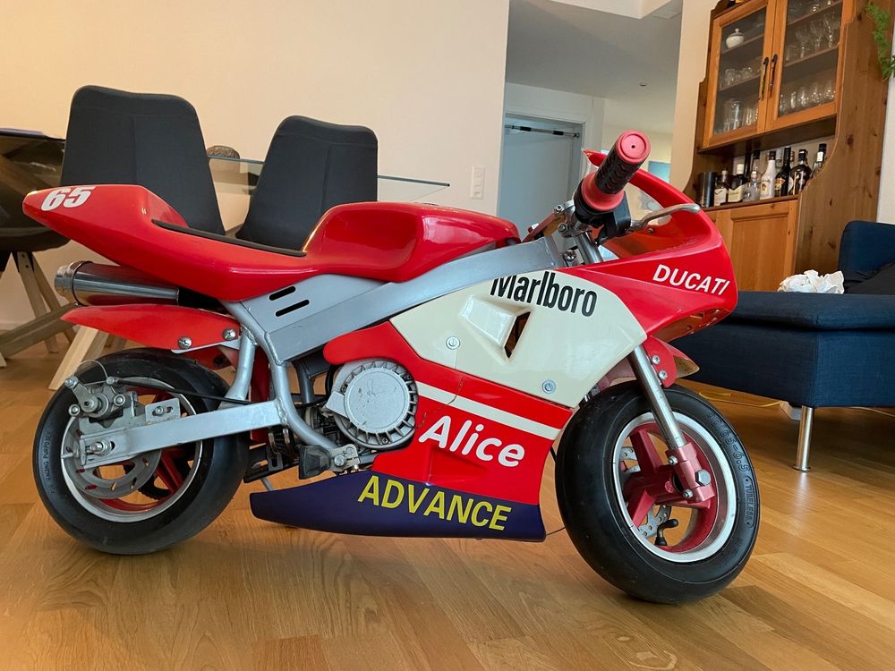 Pocket Bike Ducati Model (Gebraucht) in Bremgarten b. Bern für CHF 90 ...