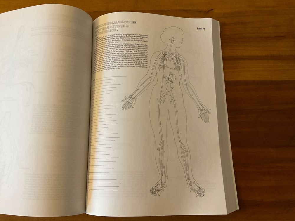 Anatomie- Malatlas, von Wynn Kapit & Lawrence M. Elson | Kaufen auf Ricardo