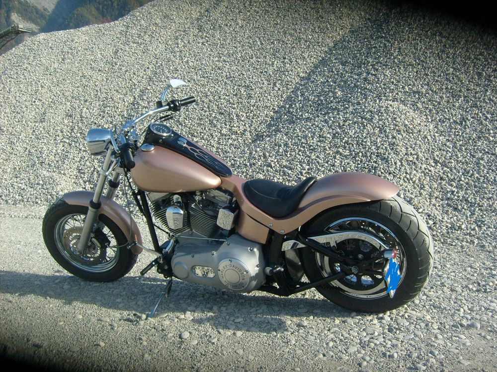 HARLEY-DAVIDSON FXST Softail Standard Custom Bike (Gebraucht) in ...