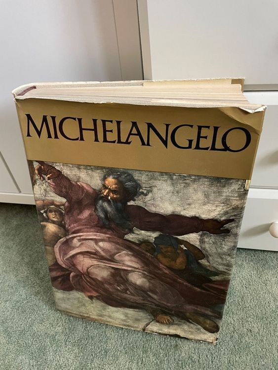 Michelangelo - The Complete Works of Michelangelo 1966 Salmi (Gebraucht ...
