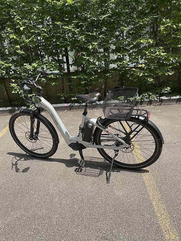 E Bike Flyer Gotour7.03 S NEUWERTIG mit 268 km (Gebraucht) in Baden für ...