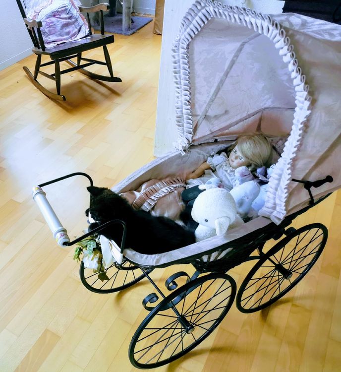 Antiker Puppenwagen Nostalgie Retro Kinderwagen Vintage (Gebraucht) in Derendingen für CHF 100 ...