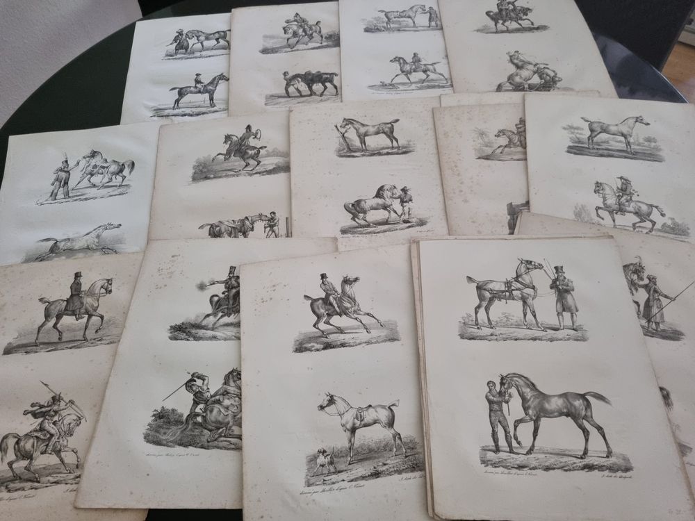24 alte Stiche - Pferde, Reiten, Dressur… (Gebraucht) in Gümligen für ...