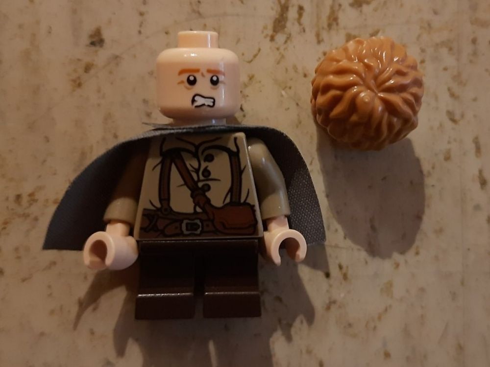 Lego Minifigur, Figur Samwise Gamgee lor004 The Hobbit (Gebraucht) in ...