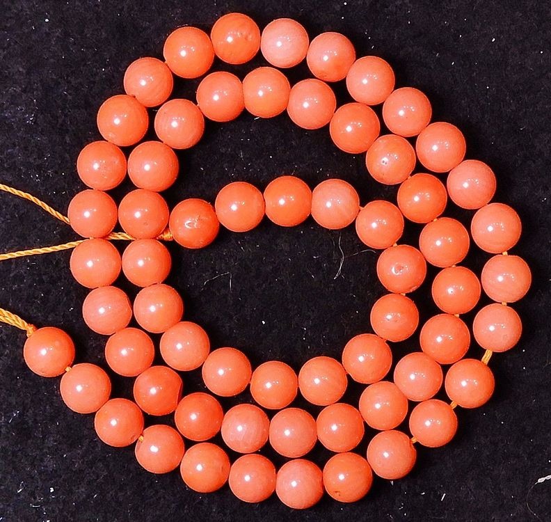 1 Strang echte Top orange Korallen Perlen 7 mm (Neu (gemäss ...