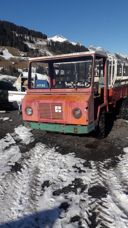 Reform Muli 33 (Gebraucht) in Adelboden für CHF 2000 – mit Lieferung ...