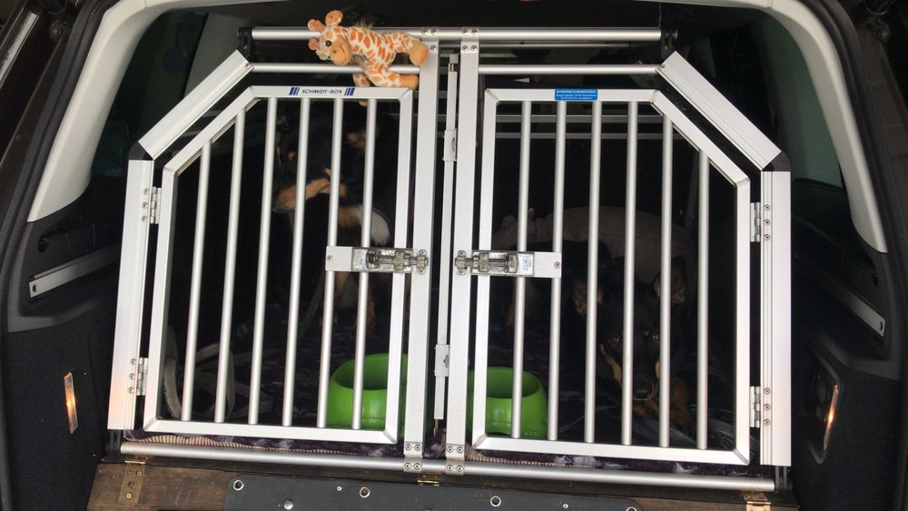 Doppelhundebox (Schmidt-Box) | Kaufen auf Ricardo
