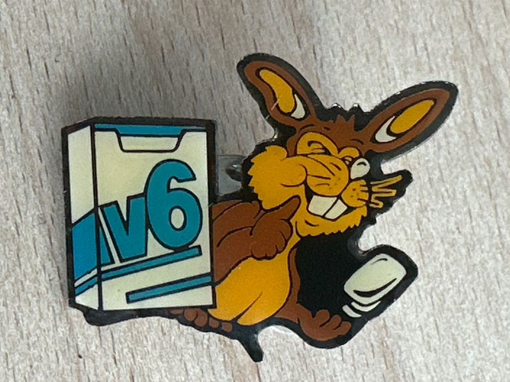 PIN V6 | Kaufen auf Ricardo