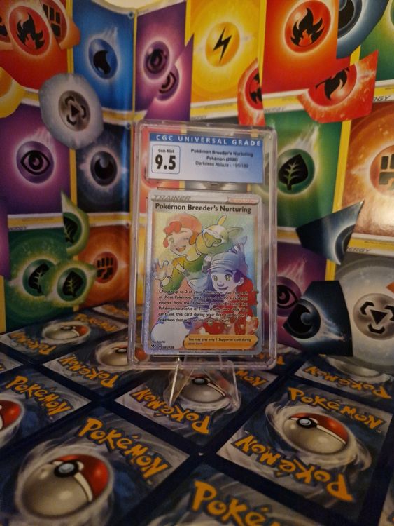 Pokemon Trainer Breeder s Nurturing Rainbow (Gebraucht) in Krauchthal ...