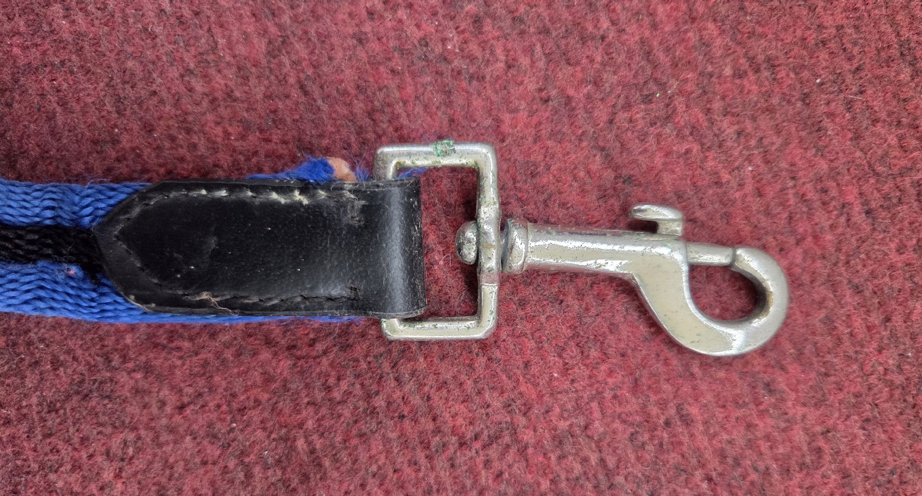 Blaue Führleine für Pferde/Hunde, Top Zustand, 7 Meter lang (Gebraucht ...