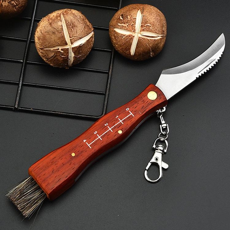 Neues Pilzmesser mit Pinzel, Sackmesser (Neu (gemäss Beschreibung)) in ...