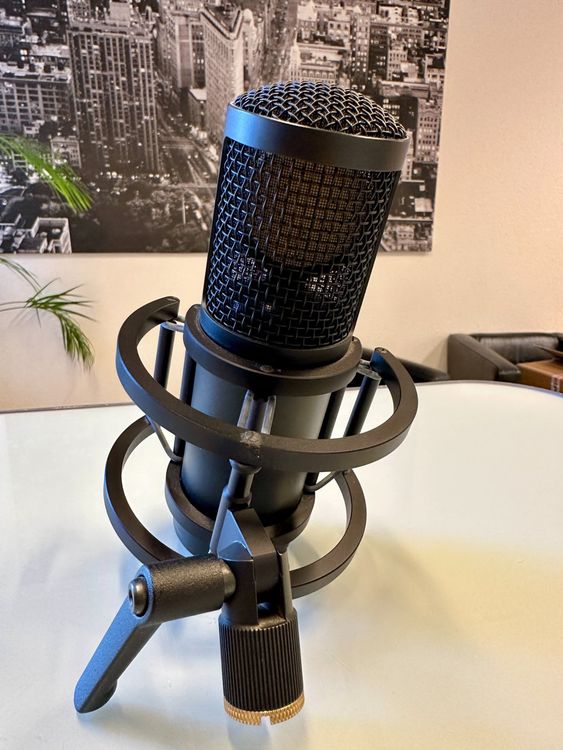 Brauner Valvet X Studio Röhrenmikrofon | NP: CHF 3500.- | Kaufen auf ...