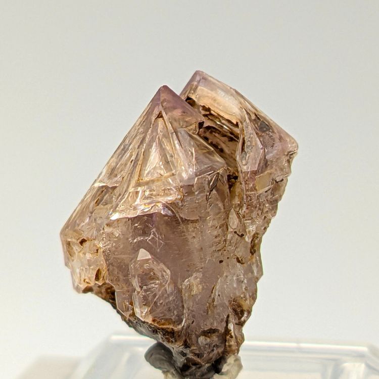 SKELETT- und FENSTER-AMETHYST mit EINSCHLÜSSEN, Sardinien (Nuovo (secondo la descrizione)) a ...