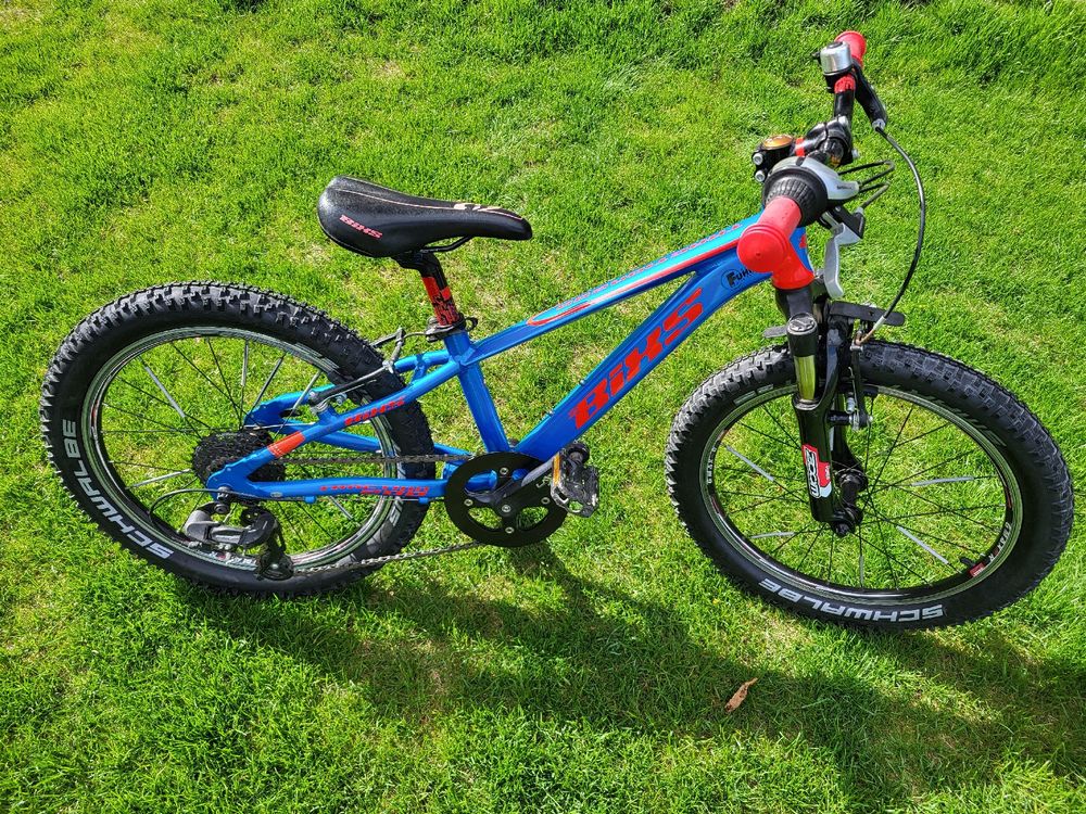 BIXS Traction 200, MTB Kinder 20 Zoll (Gebraucht) in Spiez für CHF 195 – nur Abholung auf ...