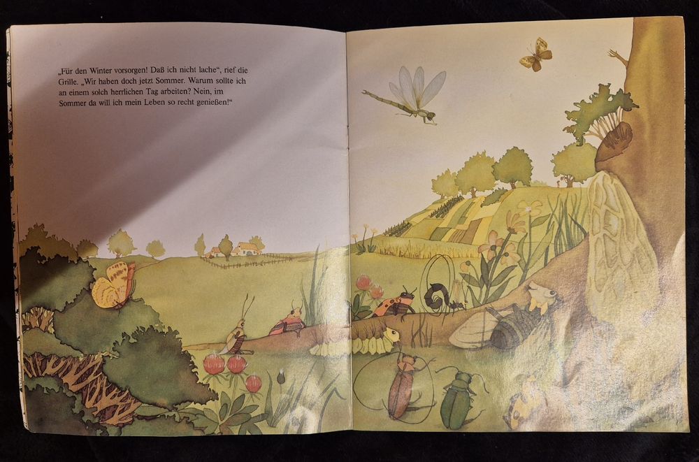 Bilderbuch: Die Grille und die Ameisen, Thalet, Aesop (Gebraucht) in ...