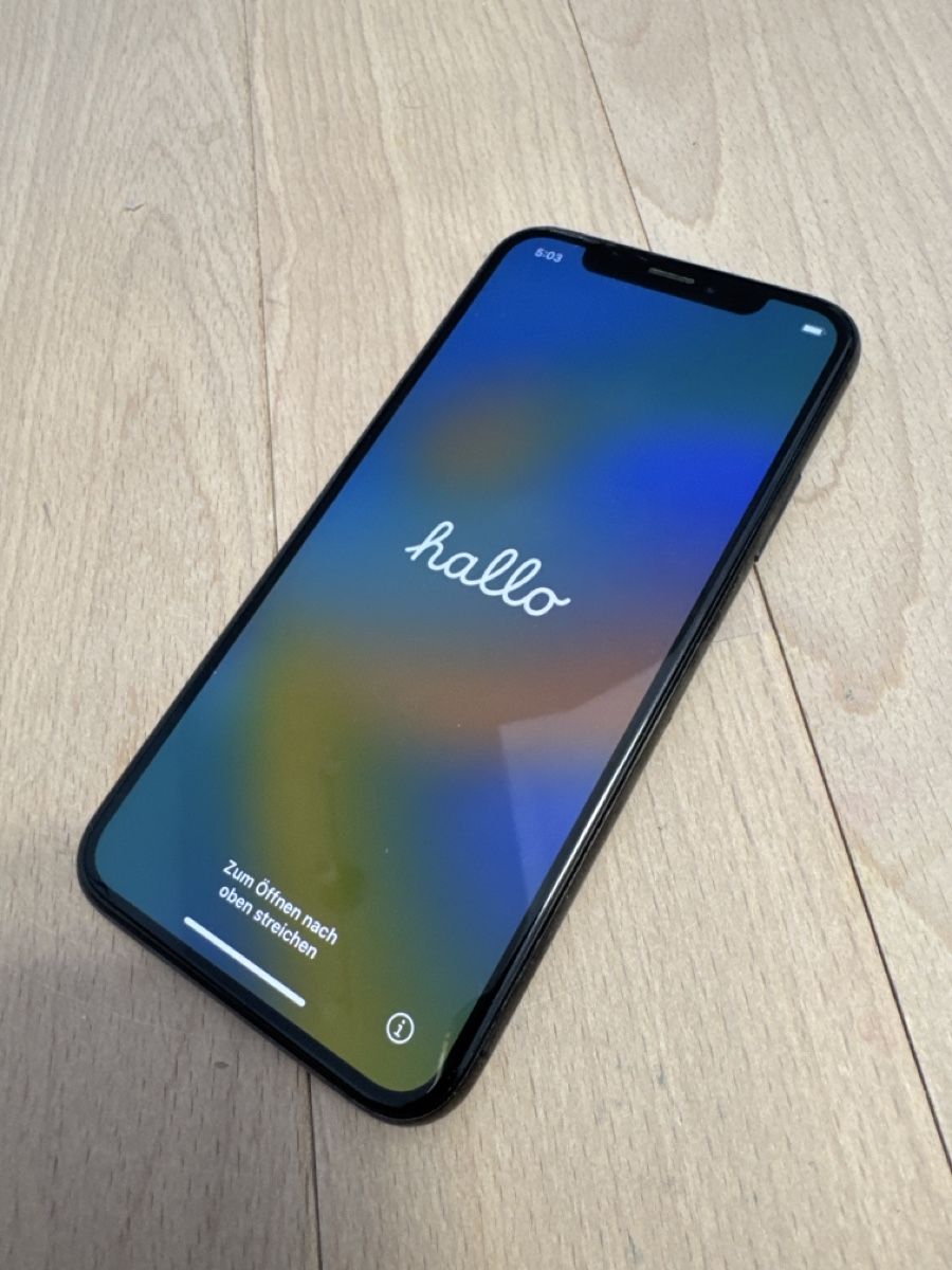 iPhone X 256GB Space Gray mit Kopfhörer und Audio-Adapter (Gebraucht ...
