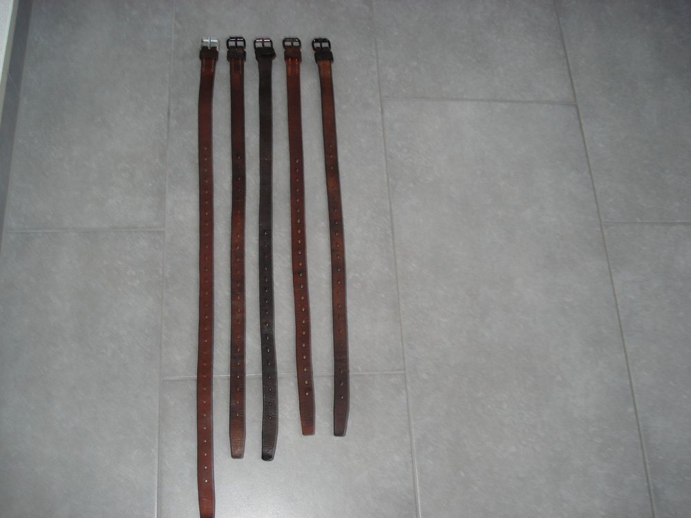 5 Stk. Packriemli von der CH-Armee echt Leder (Gebraucht) in Root für ...