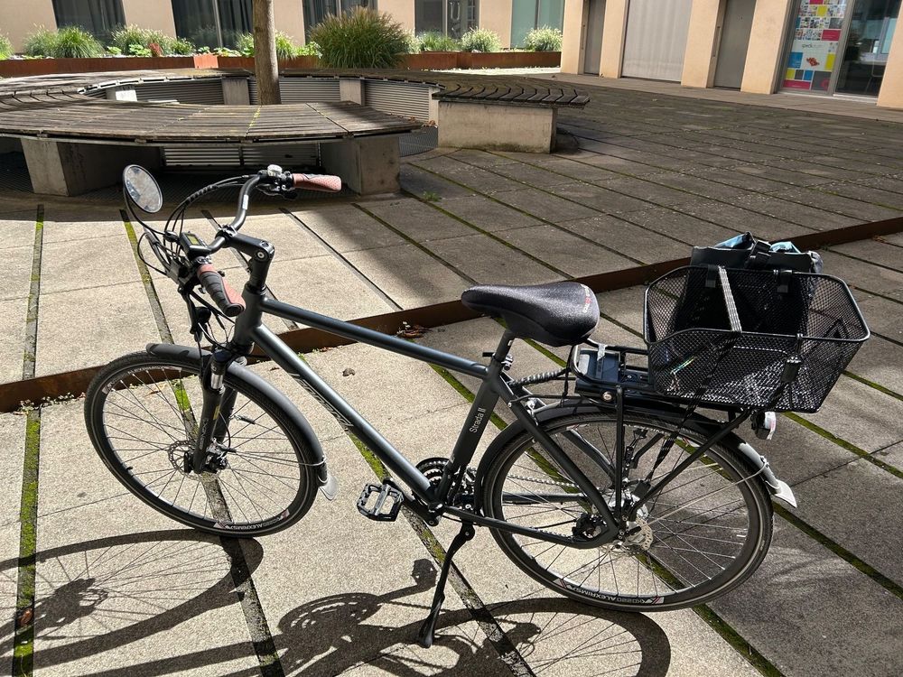 Leopard E-Bike Strada II Man 53cm (Gebraucht) in Zürich für CHF 580 ...