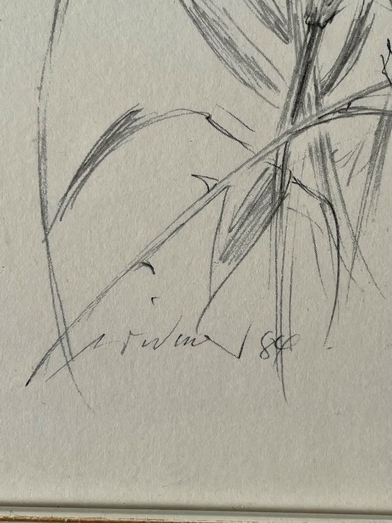 Stilleben Bleistift Zeichnung unleserlich Signiert | Kaufen auf Ricardo