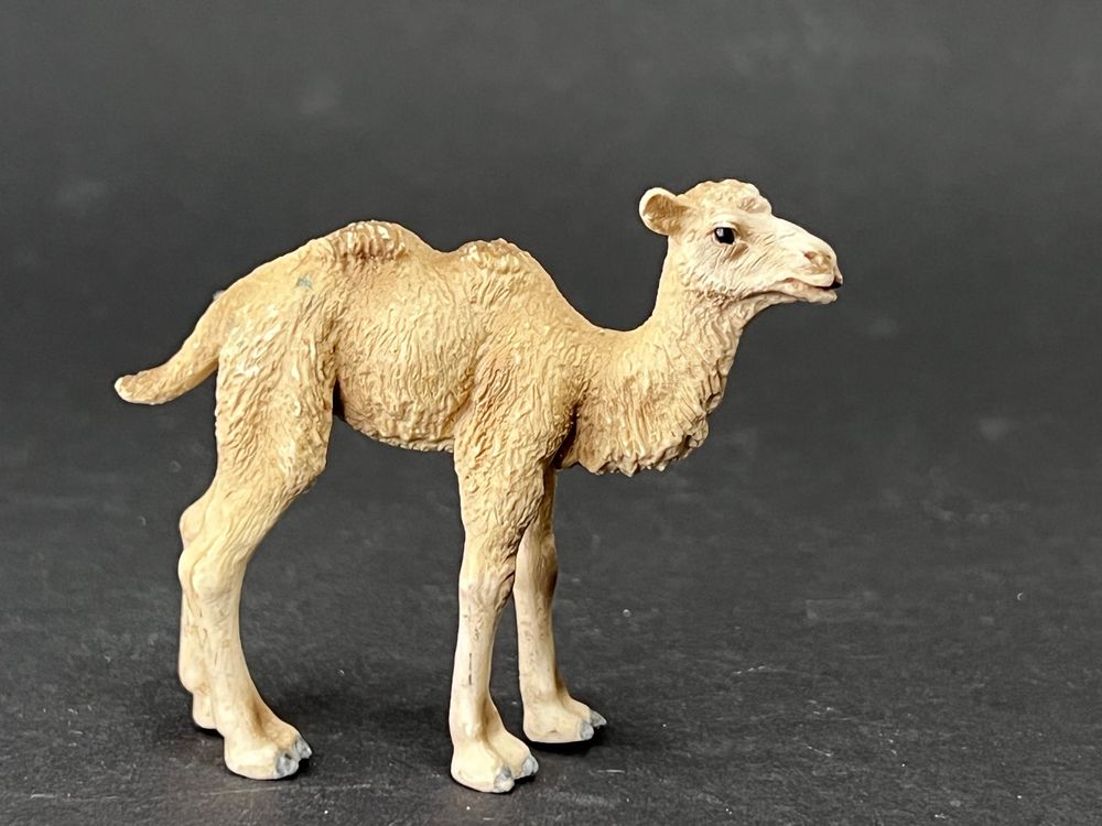 Schleich 14602 Trampeltier Fohlen Kamel (Gebraucht) in Ennetbaden für ...