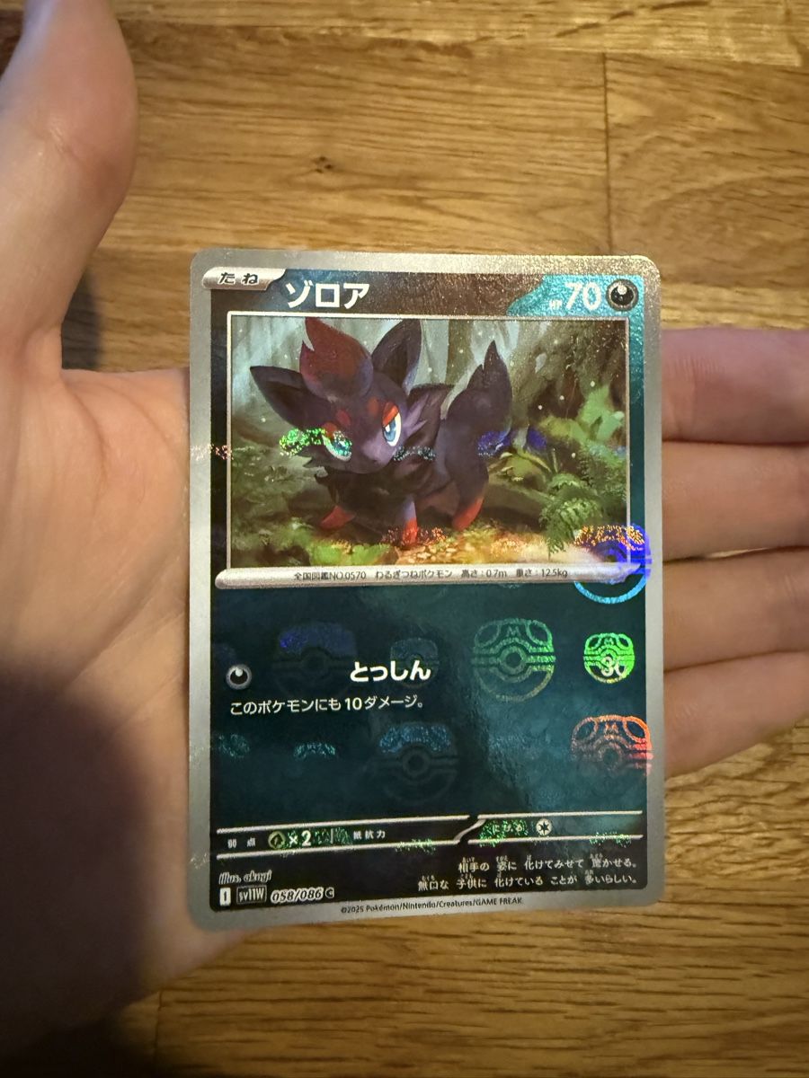 Zorua JP 058/086 Masterball - Weisse Flammen - Top Zustand! (Neu (gemäss Beschreibung)) in ...