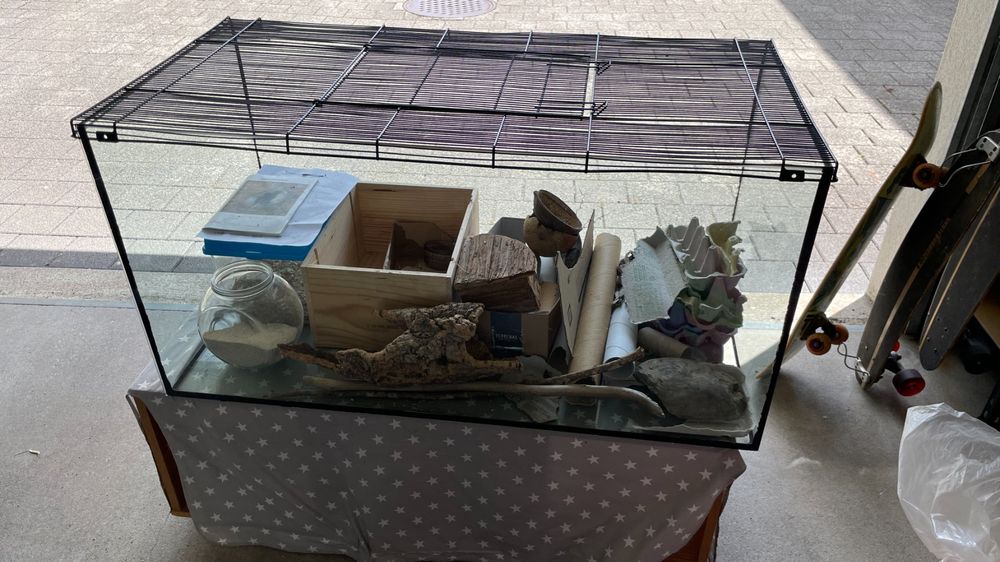 Mausekafig Aus Glas