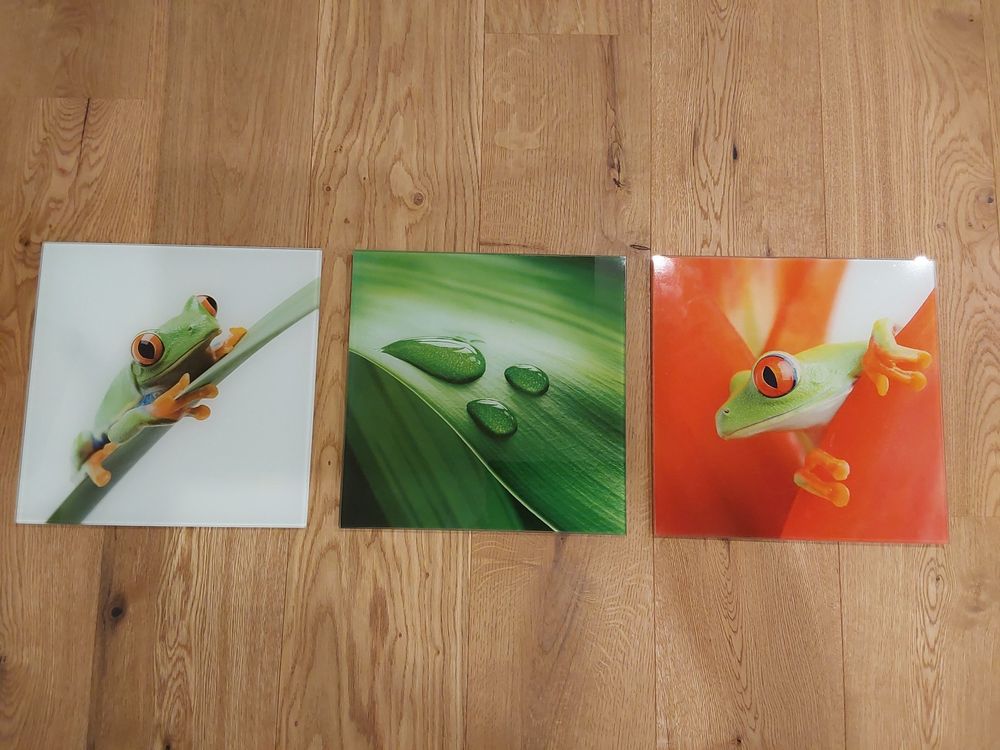Glasbilder Frosch Blatt Frosch (Gebraucht) in Jona für CHF 1 – nur ...