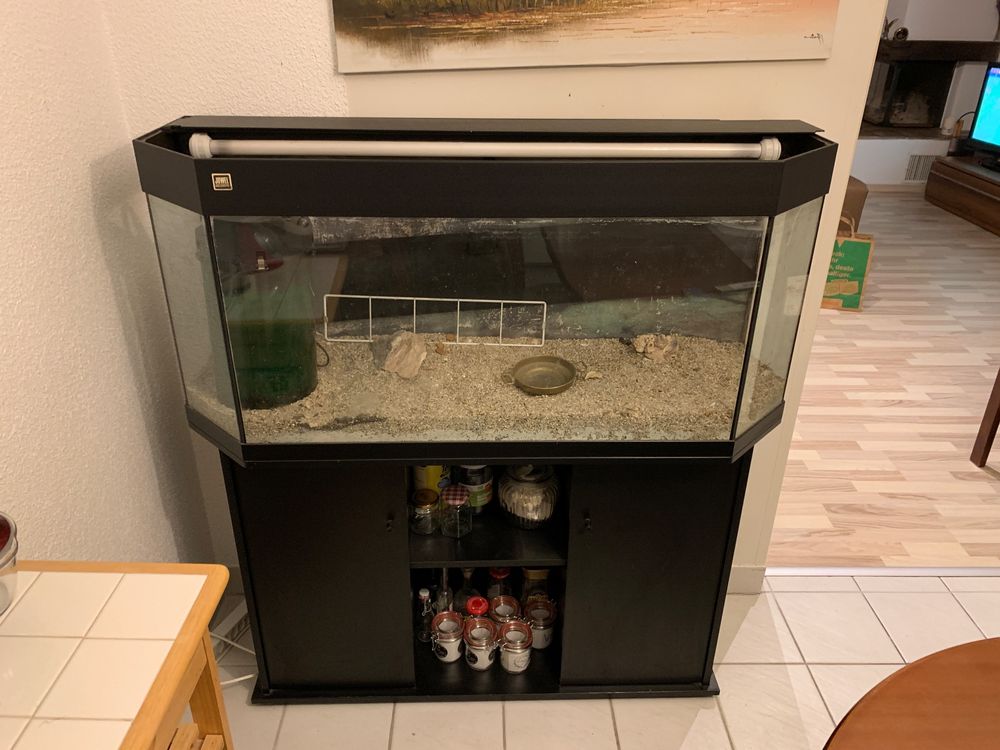 Aquarium Auf Rechnung