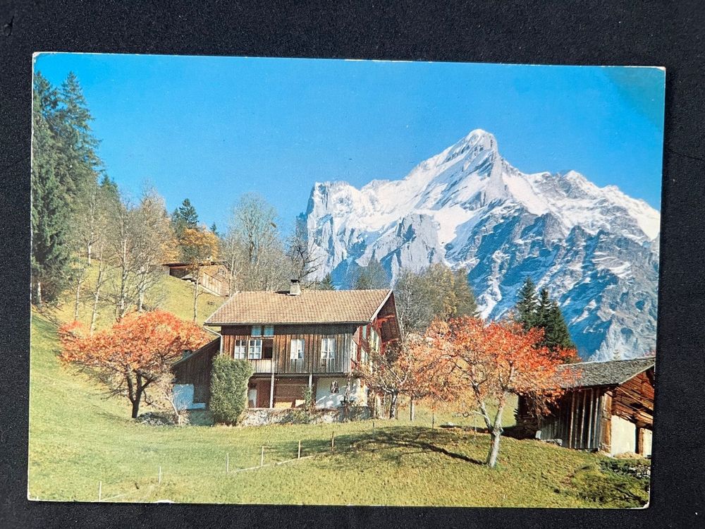 Grindelwald | Kaufen auf Ricardo