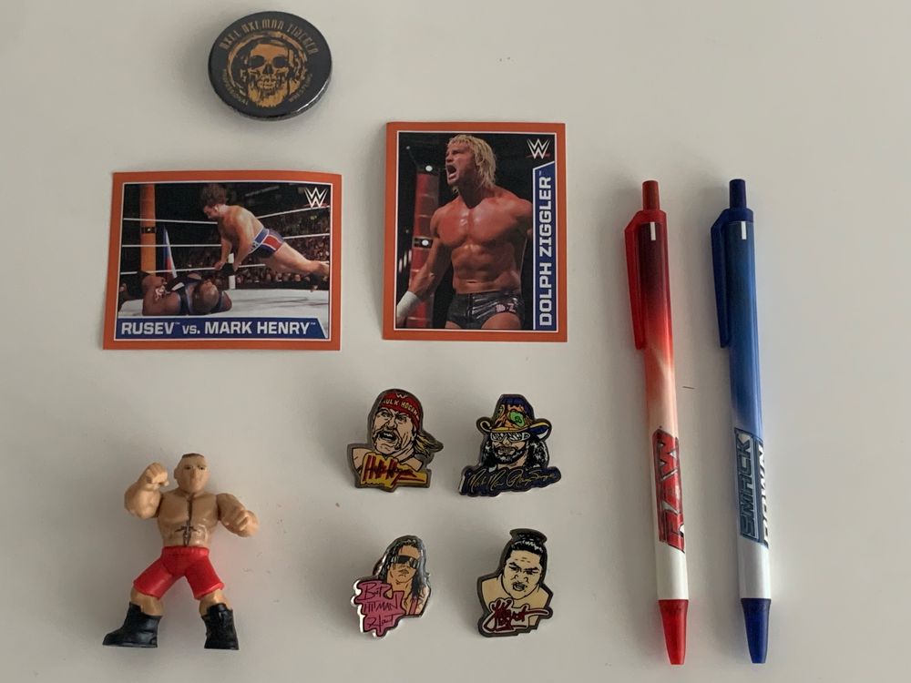 WWE/WWF Wresling Set Pins Figur Hogan Bret Hart Macho Man uv (Gebraucht ...