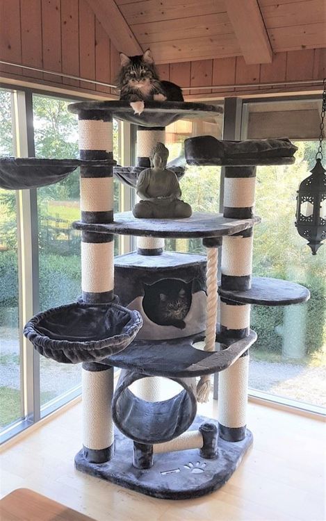 ROBUSTER PREMIUM Katzenbaum - das Original mit Ø 16 cm Stämm (Neu und ...