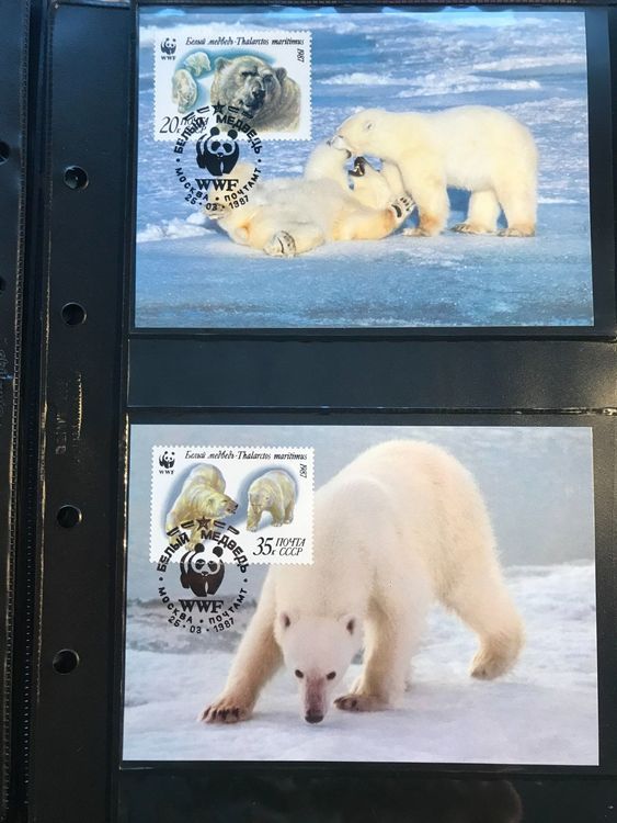 Sowjetunion CCCP 1987 Satz WWF Eisbär Maximumkarten (Neu (gemäss Beschreibung)) in Liestal für ...