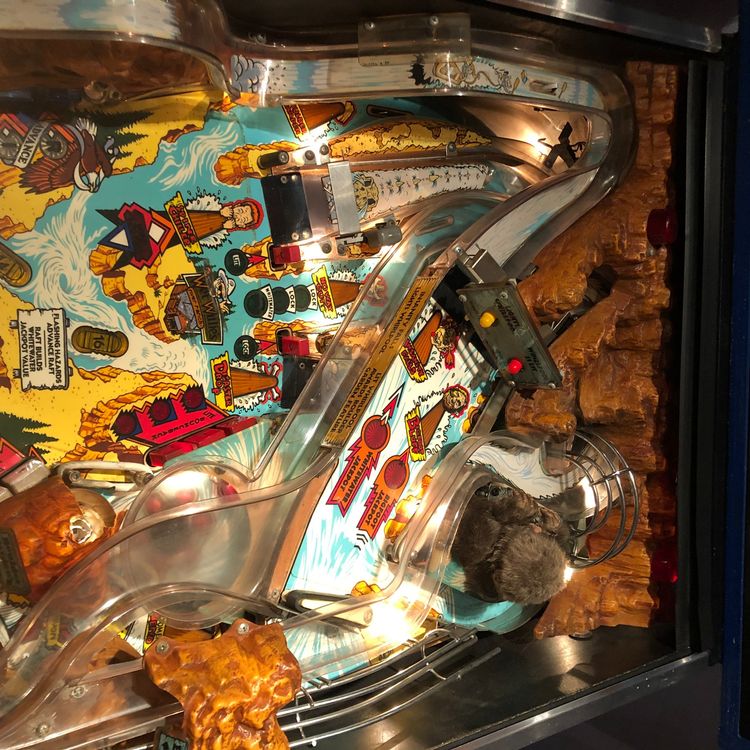 Flipperkasten-Pinball "White Water" (Gebraucht) in Schänis für CHF 5000 ...