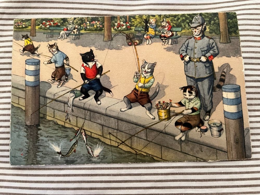 4 Katzenkarten Edition Max Künzli Zürich 6 (1951-1955) (Gebraucht) in ...