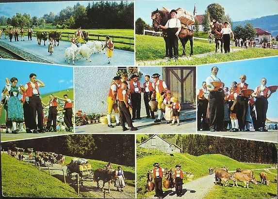 APPENZELL Alpstein - Alpfahrt -Folklore - Maultier (Gebraucht) in Jona ...