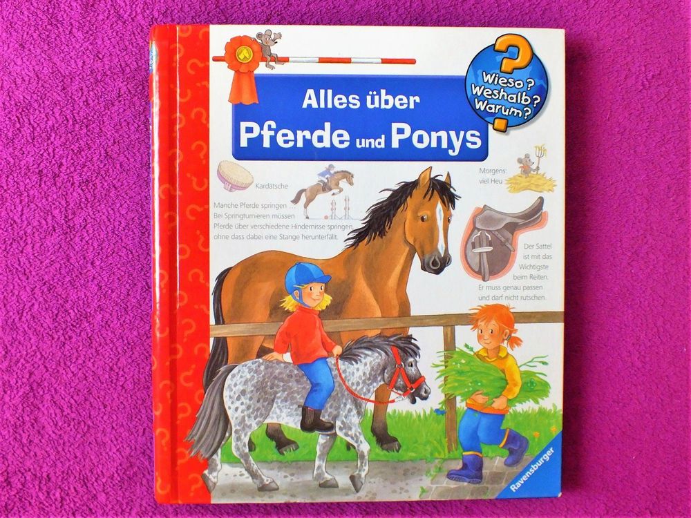 Wieso W. W.- Alles über Pferde und Ponys (Gebraucht) in Müllheim Dorf ...