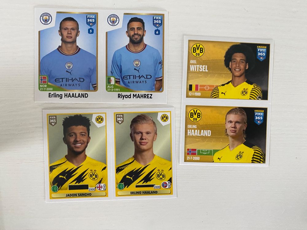 Erling Haaland 3 x Panini Stickers FIFA 365 (Neu (gemäss Beschreibung ...