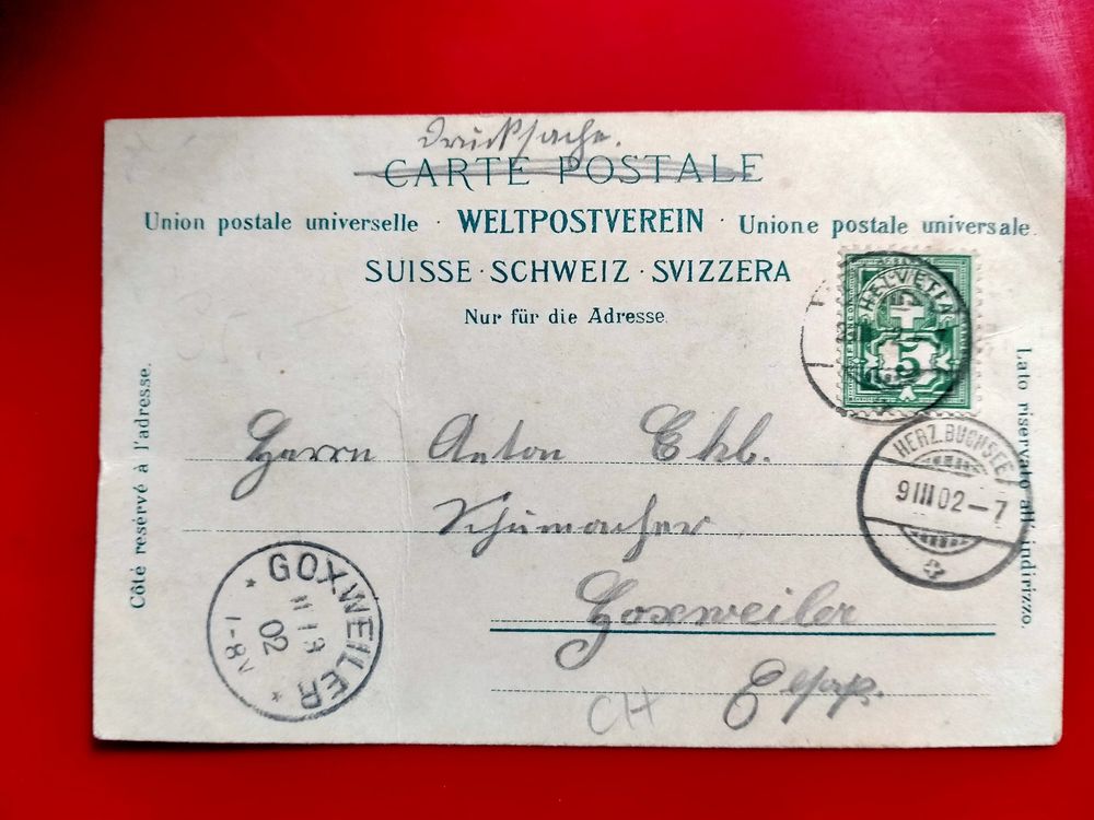 Gruss Herzogenbuchsee AK um 1902 Kutsche Pferde Bern belebt (Gebraucht ...