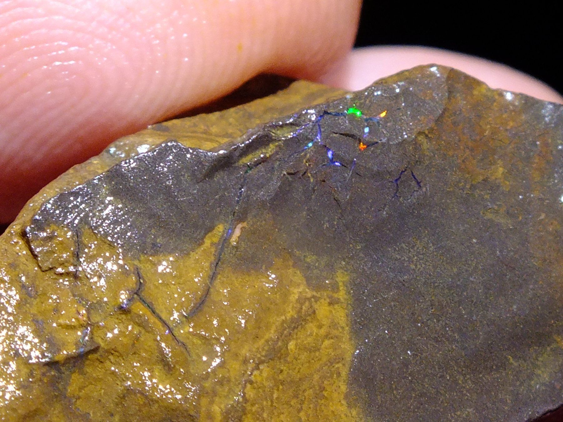 BOULDER ROH OPAL 72 Karat Gebot 1.- Elektrisch Pin feuer (Neu und ...