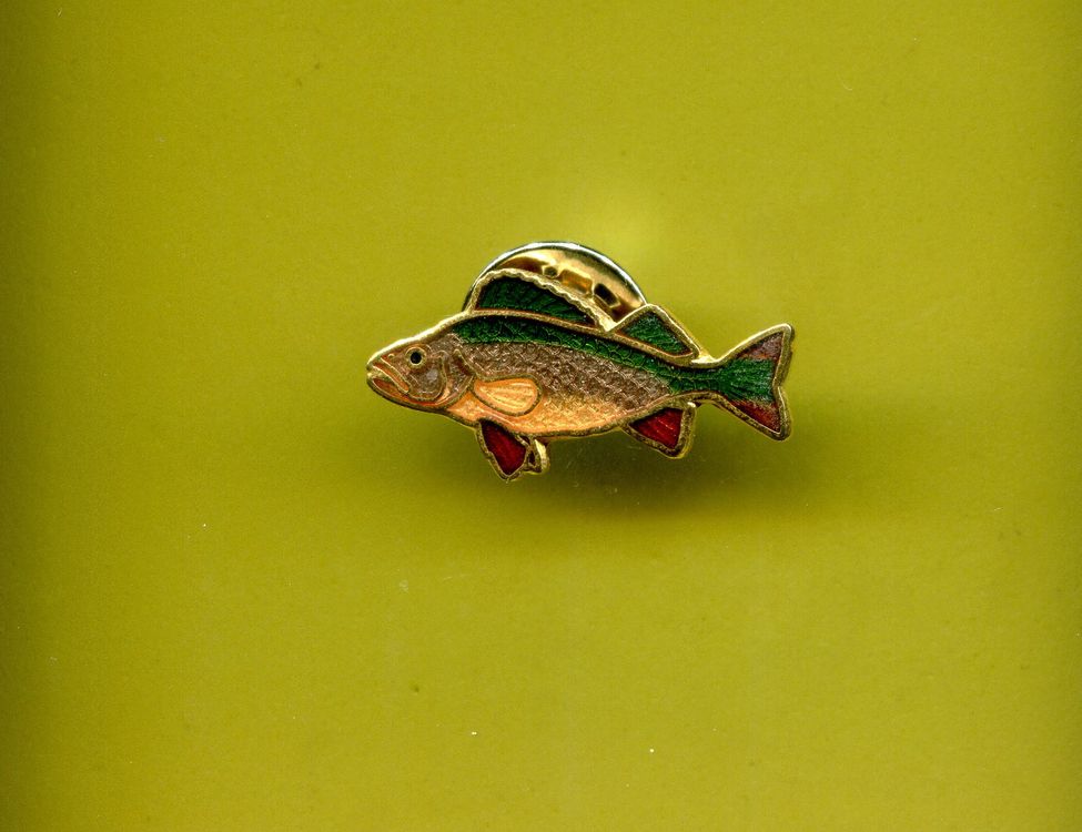 FISCH (Gebraucht) in Winterthur für CHF 1 – mit Lieferung auf Ricardo ...