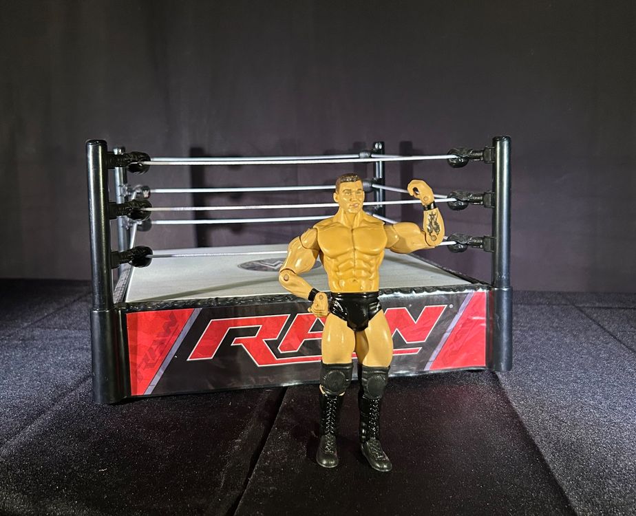 💪🏻 WWE: “RANDY ORTON“ Wrestling Action-Figur (Gebraucht) in Oberburg ...