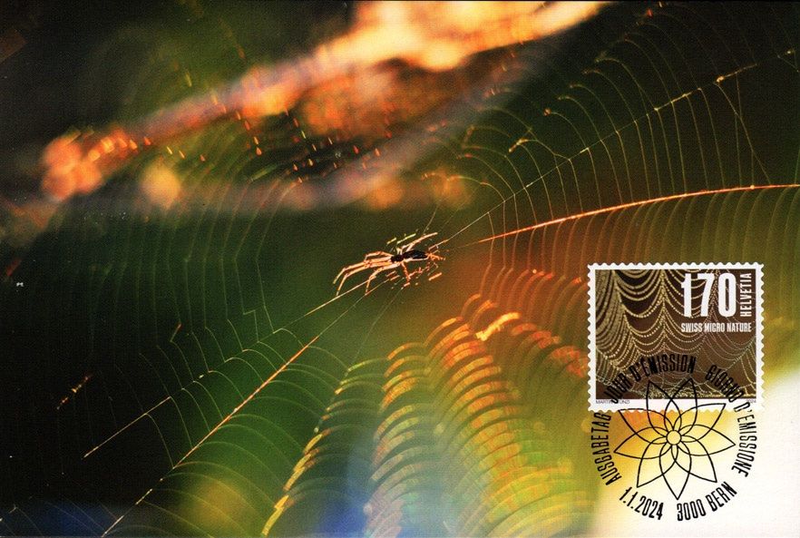 Maximumkarte Naturmuster - Spinnennetz | Kaufen auf Ricardo