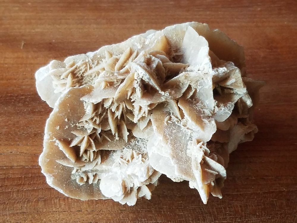 Sandrose Lot zwei Stück 12cm & 18cm | Kaufen auf Ricardo