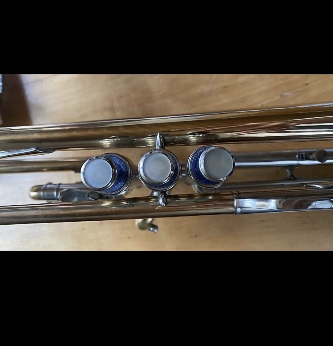 Gebr. Alexander Mainz B Trompete mit Koffer! (Gebraucht) in Zürich für ...